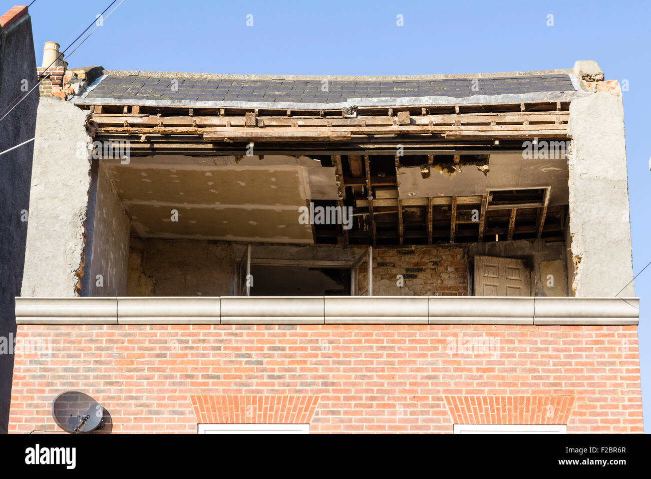 "From the knees of my nose to the belly of my toes", artwork by Alex ...