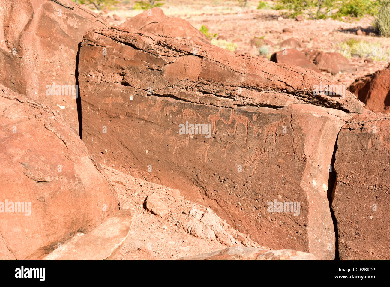 Bushman prehistoric rock engravings at the UNESCO World Heritage Center ...