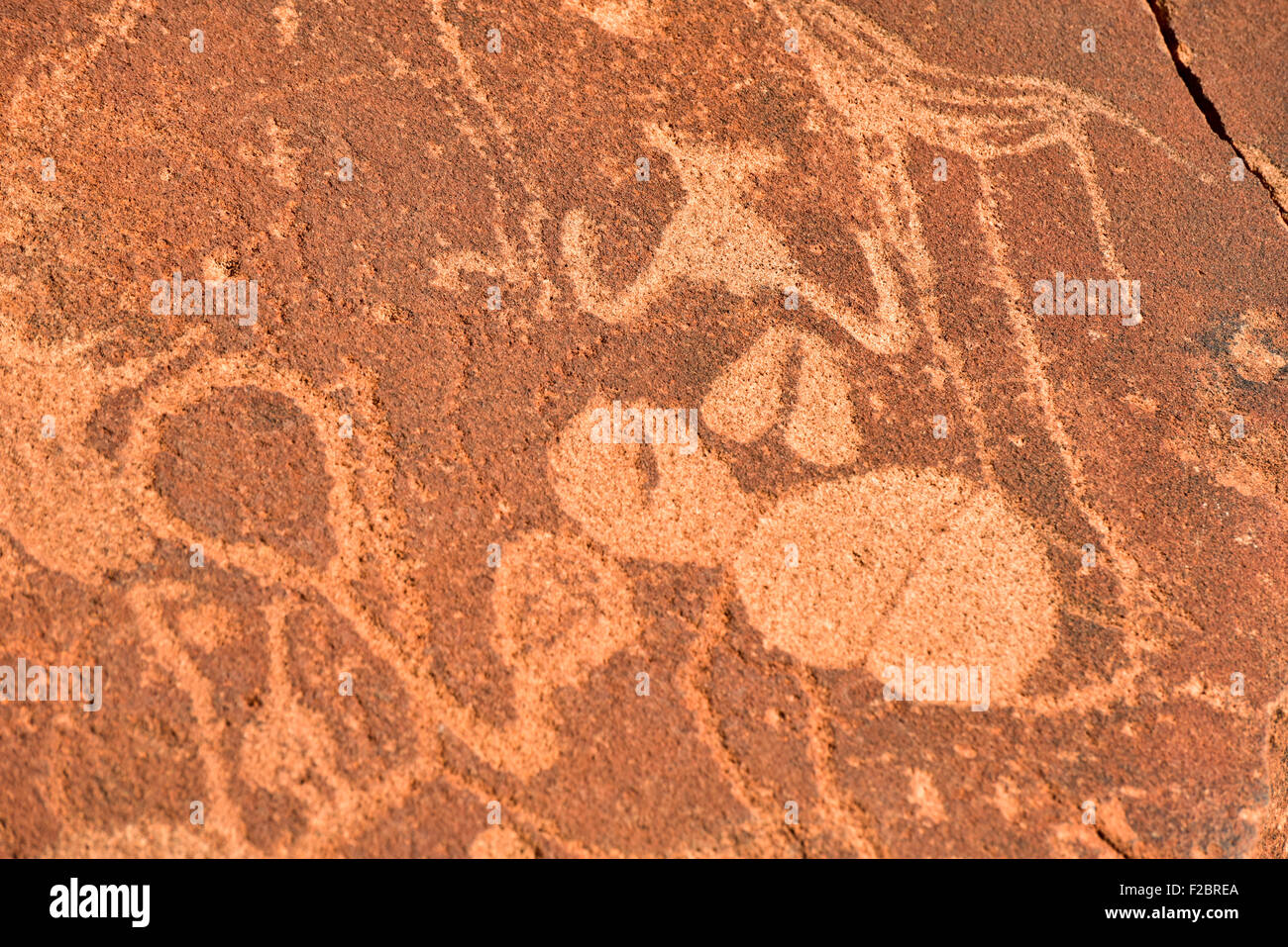 Bushman prehistoric rock engravings at the UNESCO World Heritage Center ...