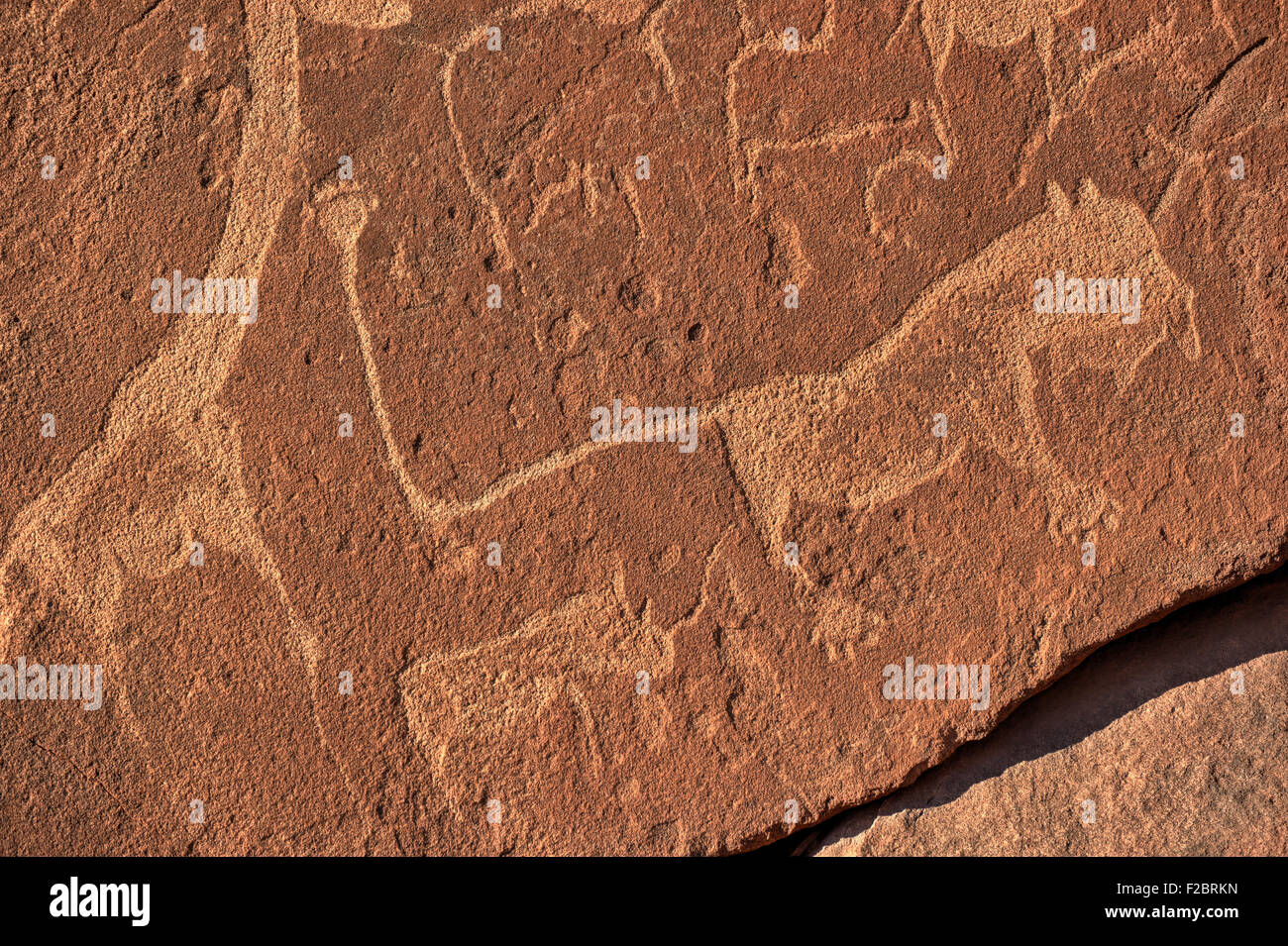 Bushman prehistoric rock engravings at the UNESCO World Heritage Center ...