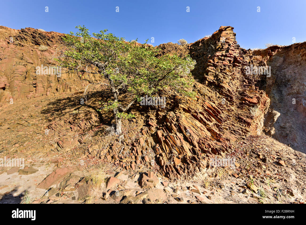 Basalt, volcanic rocks known as the Organ Pipes in Twyfelfontein ...