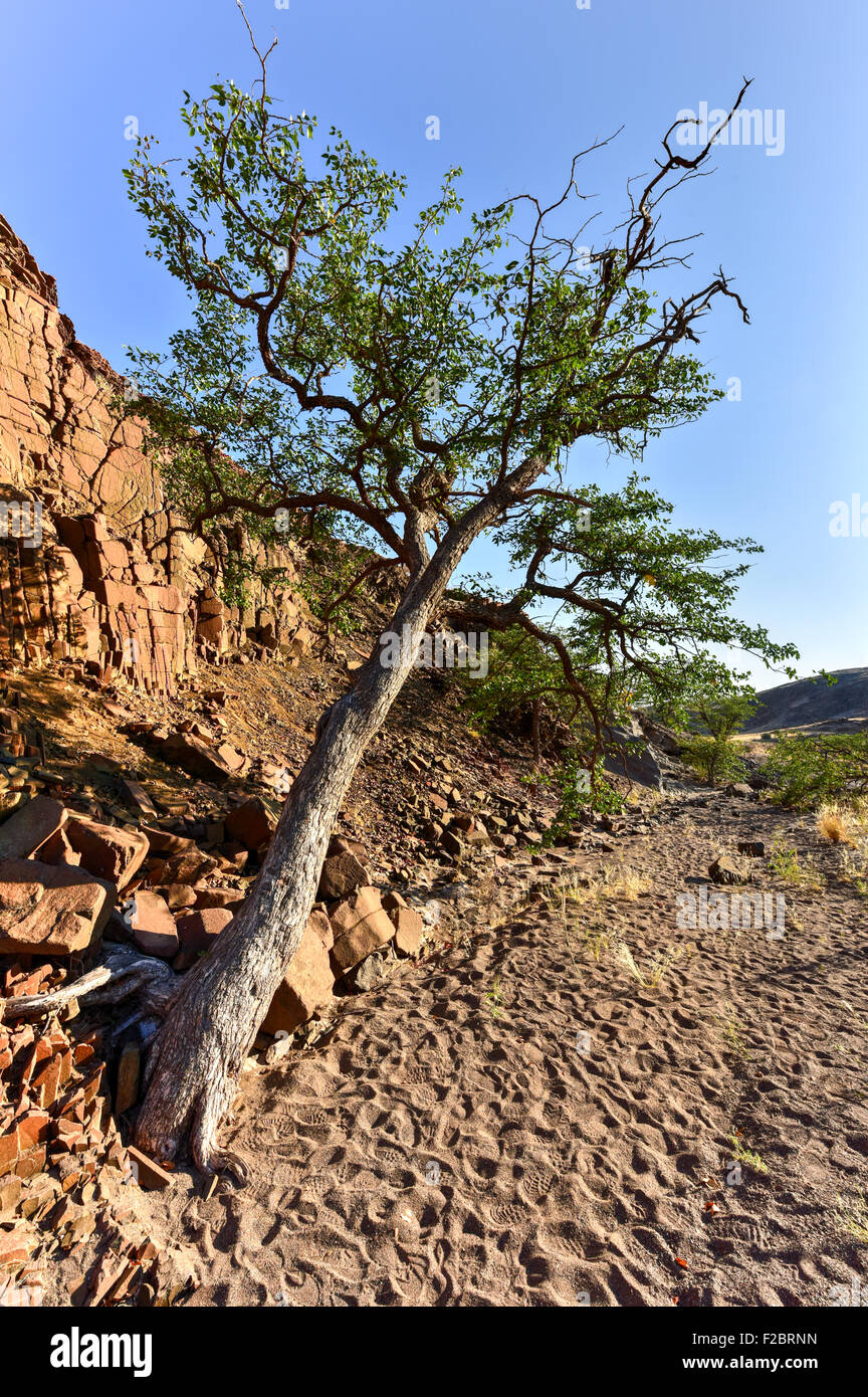 Basalt, volcanic rocks known as the Organ Pipes in Twyfelfontein ...