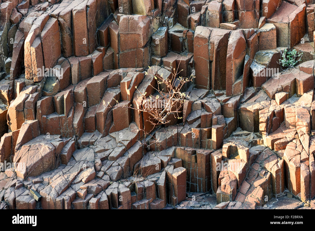 Basalt, volcanic rocks known as the Organ Pipes in Twyfelfontein ...