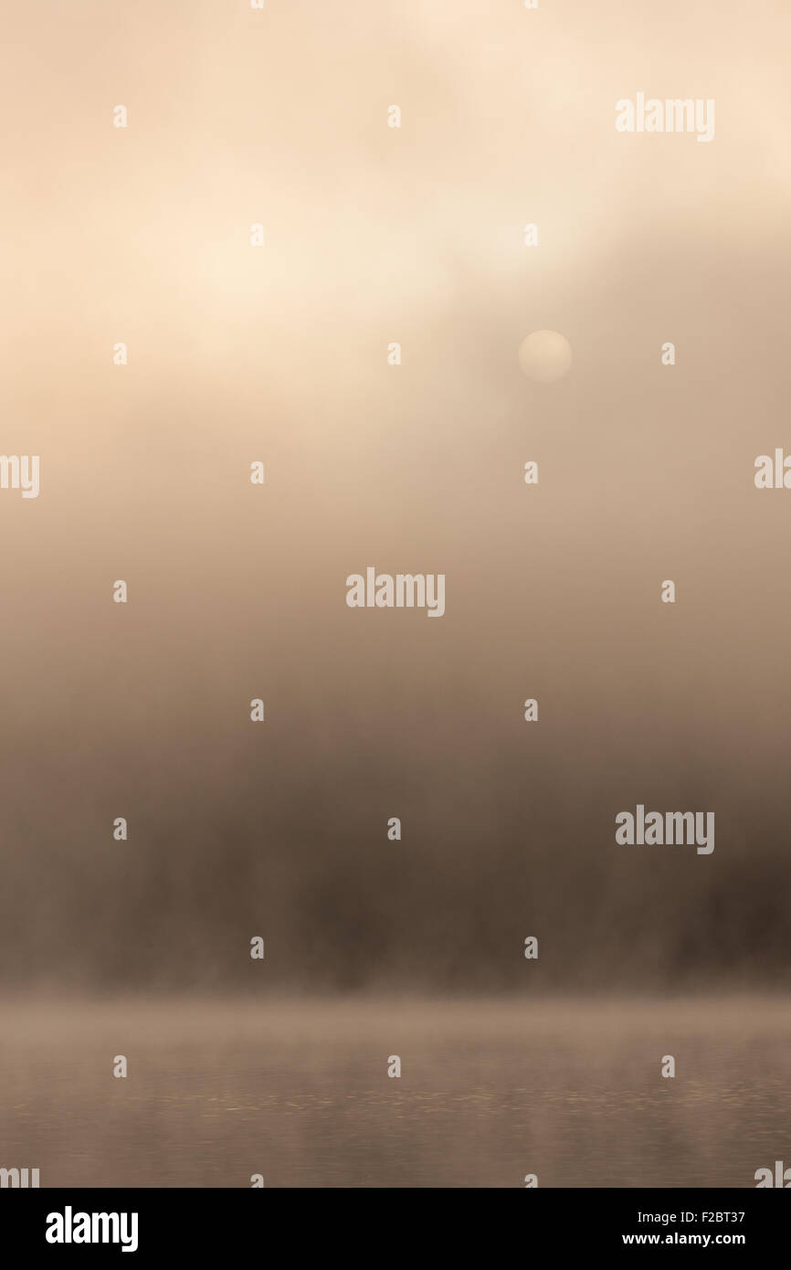 Morning sun through fog at lake Stock Photo - Alamy