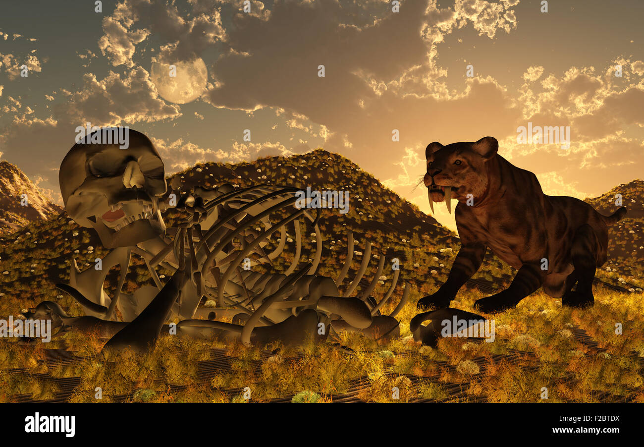 A Smilodon Saber-Toothed Cat,Discovering Human Remains Stock Photo - Alamy