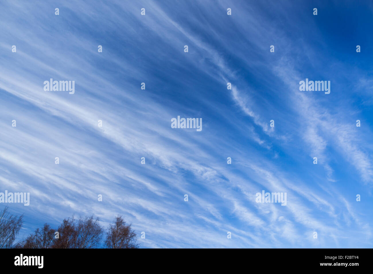 Long cirrus clouds skyscape Stock Photo - Alamy