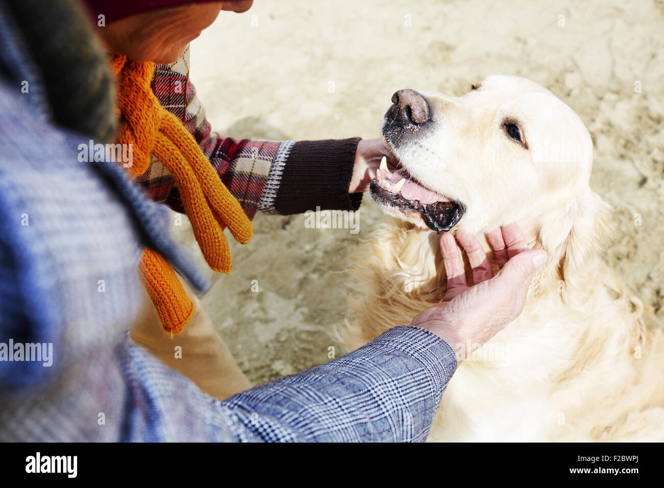 Cuddling dog hi-res stock photography and images - Alamy