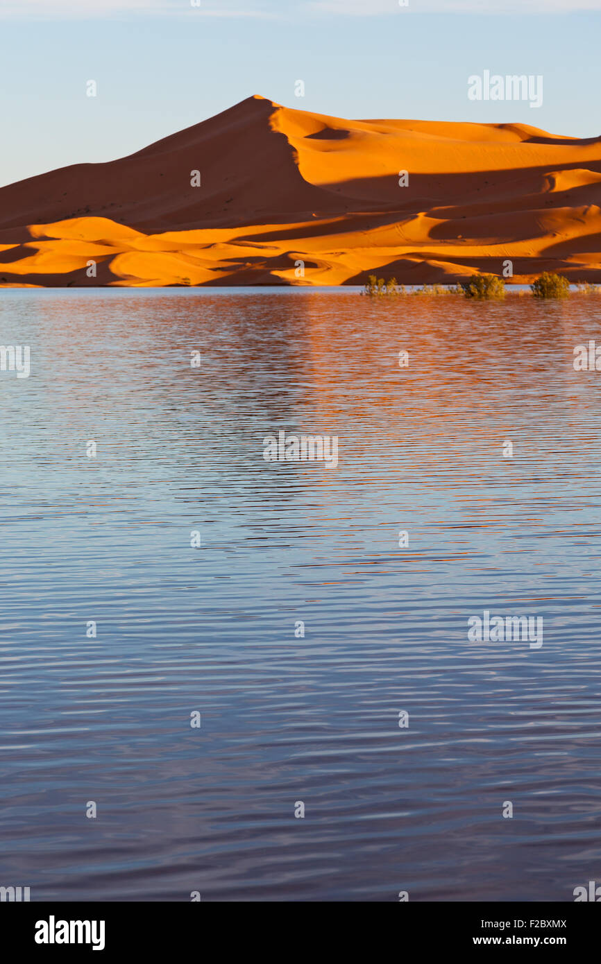 sunshine in the desert of morocco sand and lake dune Stock Photo - Alamy