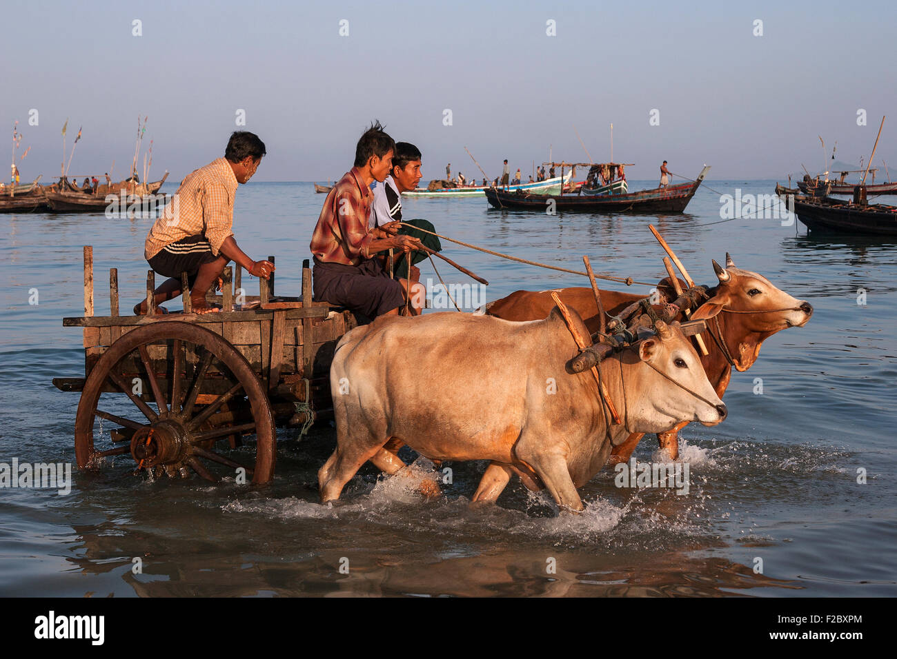 Men on cart hi-res stock photography and images - Alamy