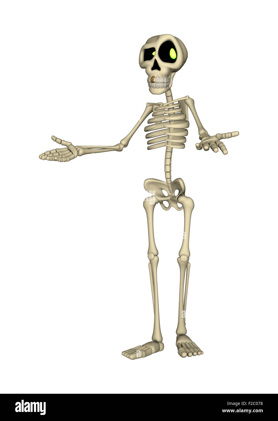 3D digital render of a cartoon human skeleton isolated on white ...
