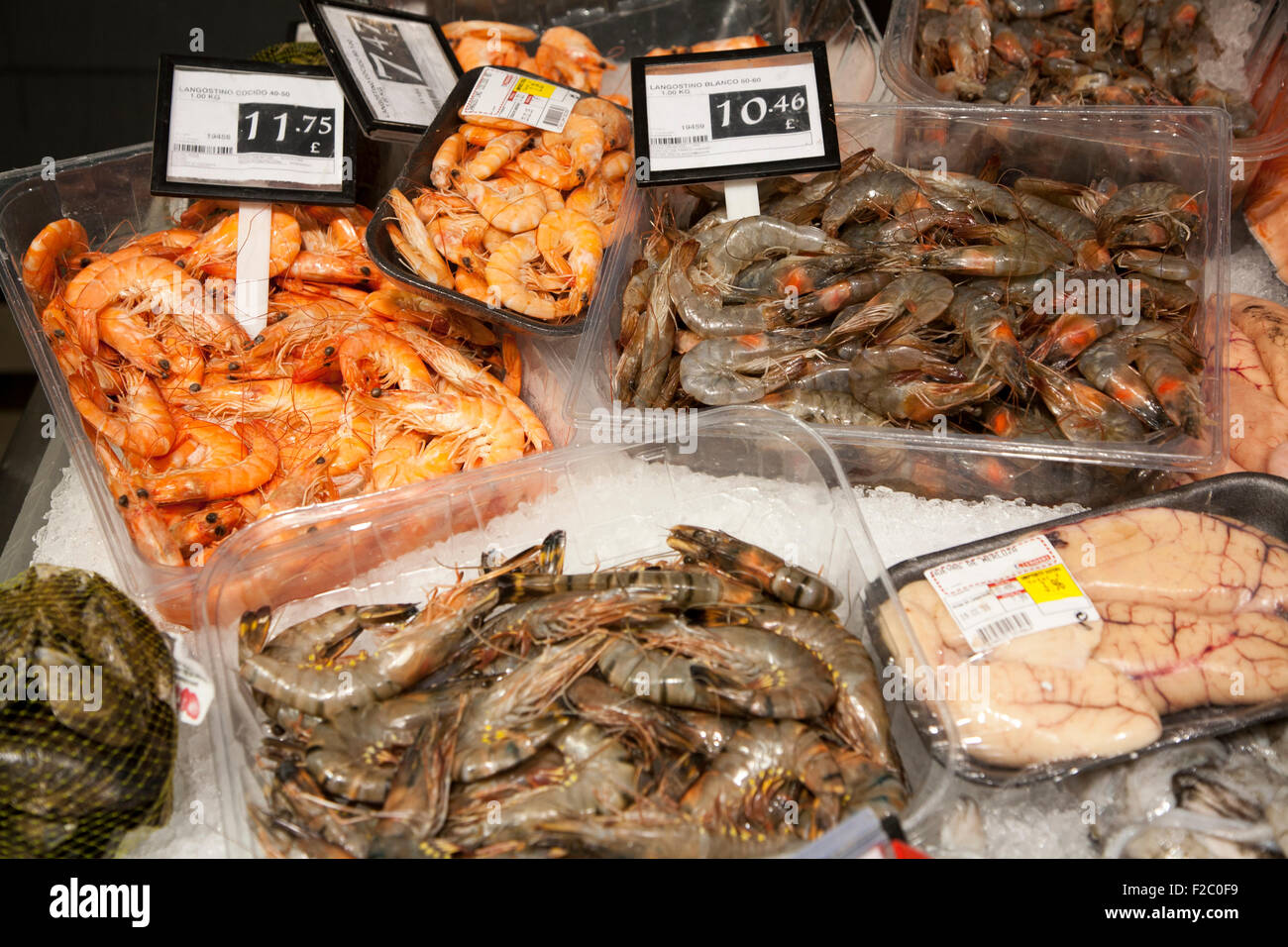 Fresh local fish on sale in ice, Gibraltar, British terroritory in ...