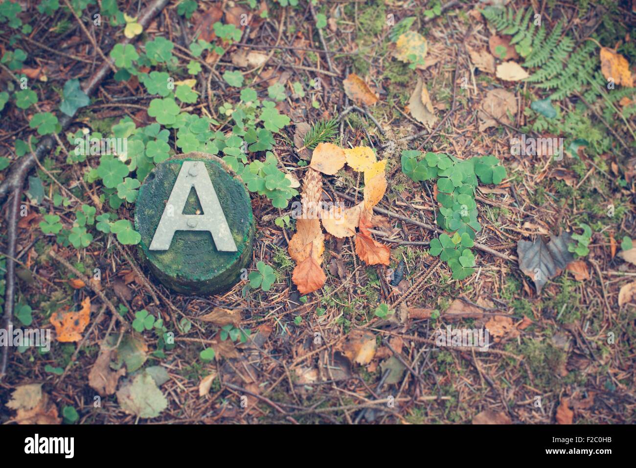 Word art hi-res stock photography and images - Alamy