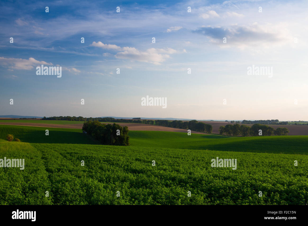 Amazing landscape in Moravia, Czech Republic Stock Photo - Alamy
