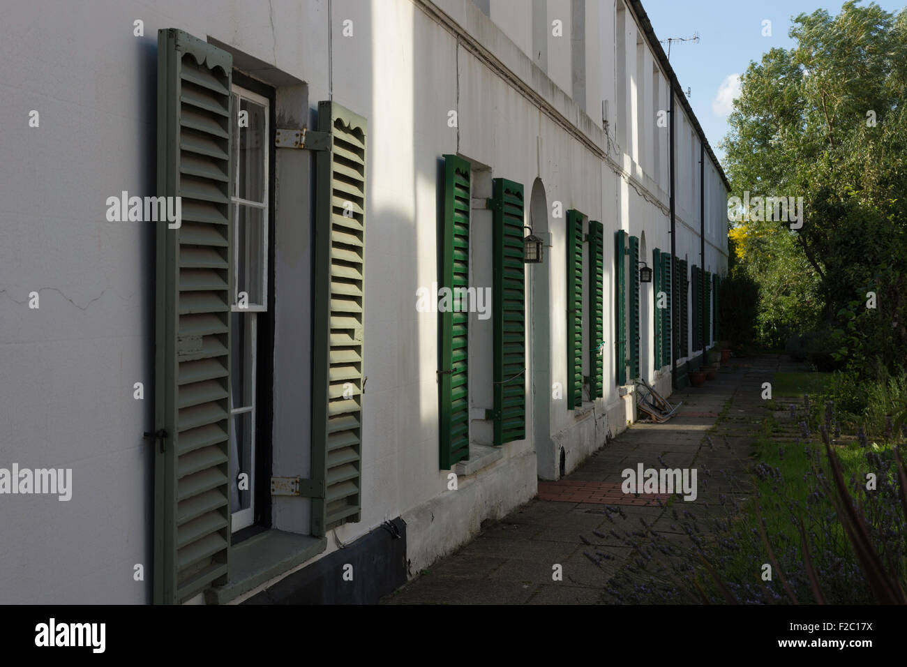 Green shutters in shade and light Stock Photo - Alamy