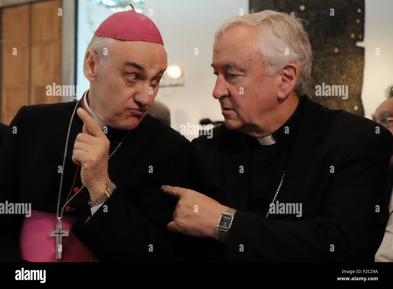 Cardinal peter erdo hi-res stock photography and images - Alamy