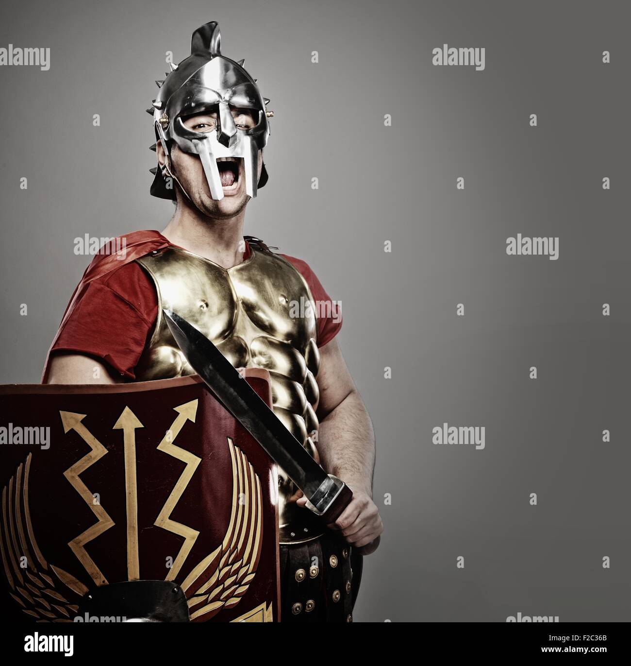 Legionary soldier ready for a war Stock Photo - Alamy