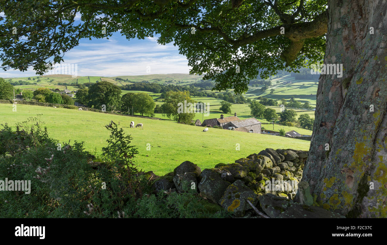 Yorkshire Dales Farm High Resolution Stock Photography and Images - Alamy