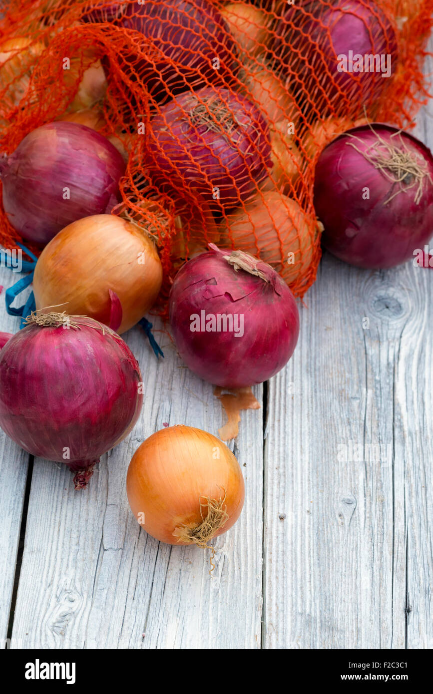 Yellow red white onion hi-res stock photography and images - Alamy
