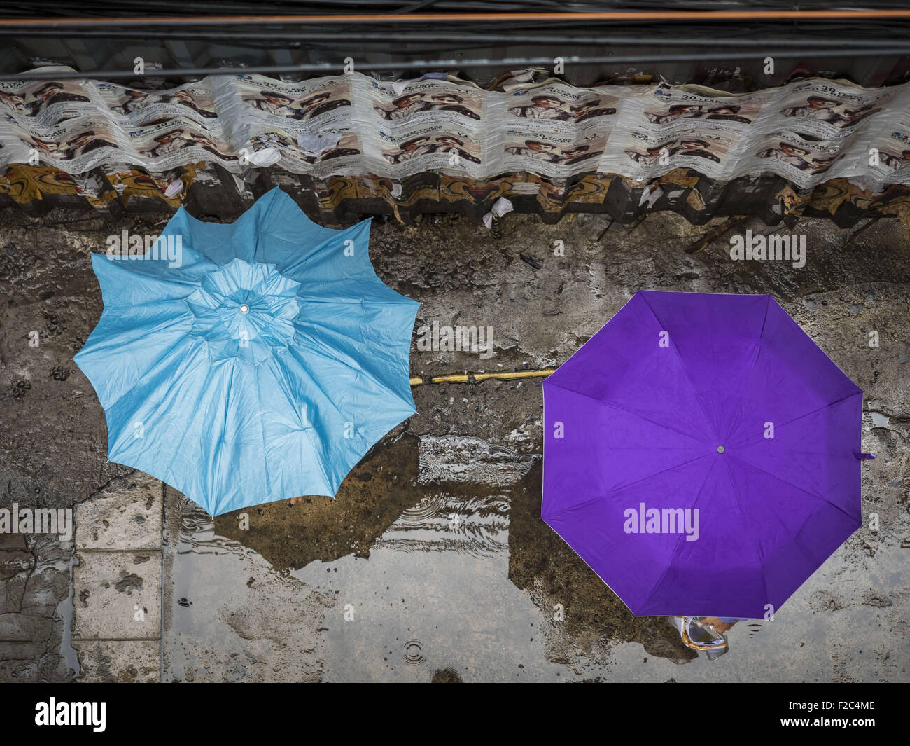 People umbrellas tropical storm hi-res stock photography and images - Alamy