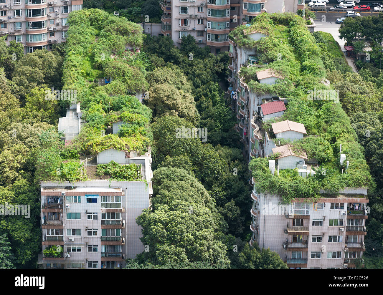 Residential buildings surrounded by trees and vegetation in Chengdu ...