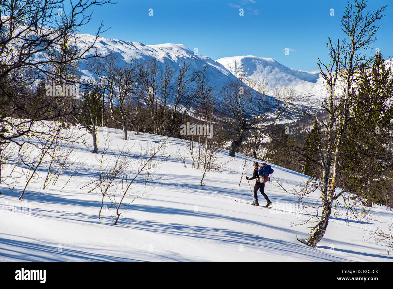 A ski tourer near Sota Seter in Breheim, Norway Stock Photo - Alamy