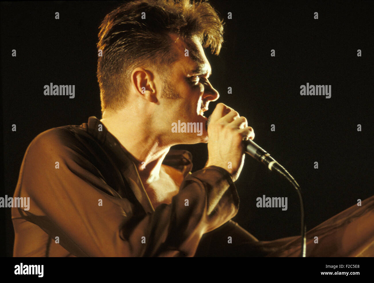 MORRISSEY English pop singer about 1990 Stock Photo - Alamy