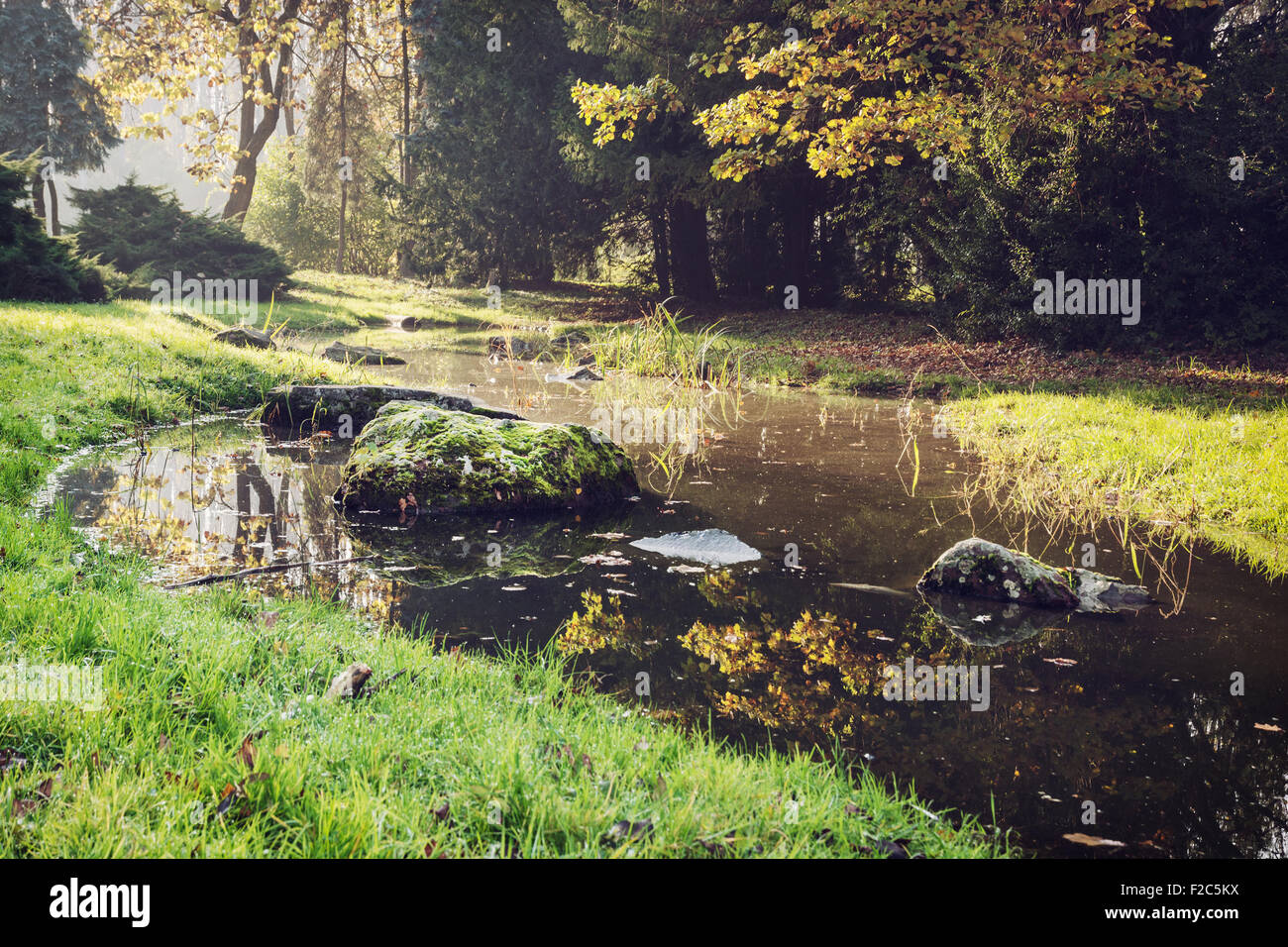 Overgrown theme park hi-res stock photography and images - Alamy
