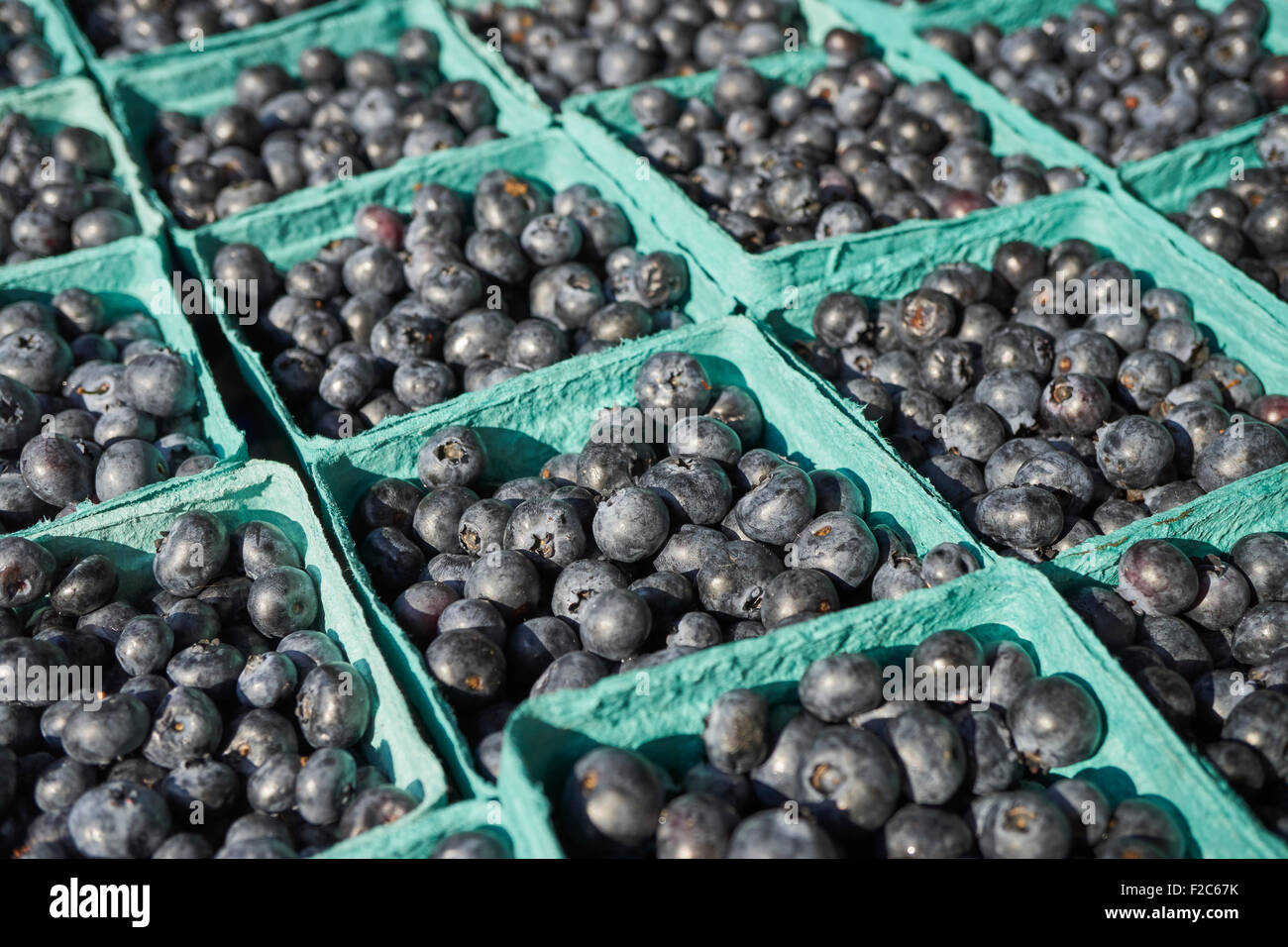 Punnets fruit punnet basket blueberry hi-res stock photography and ...