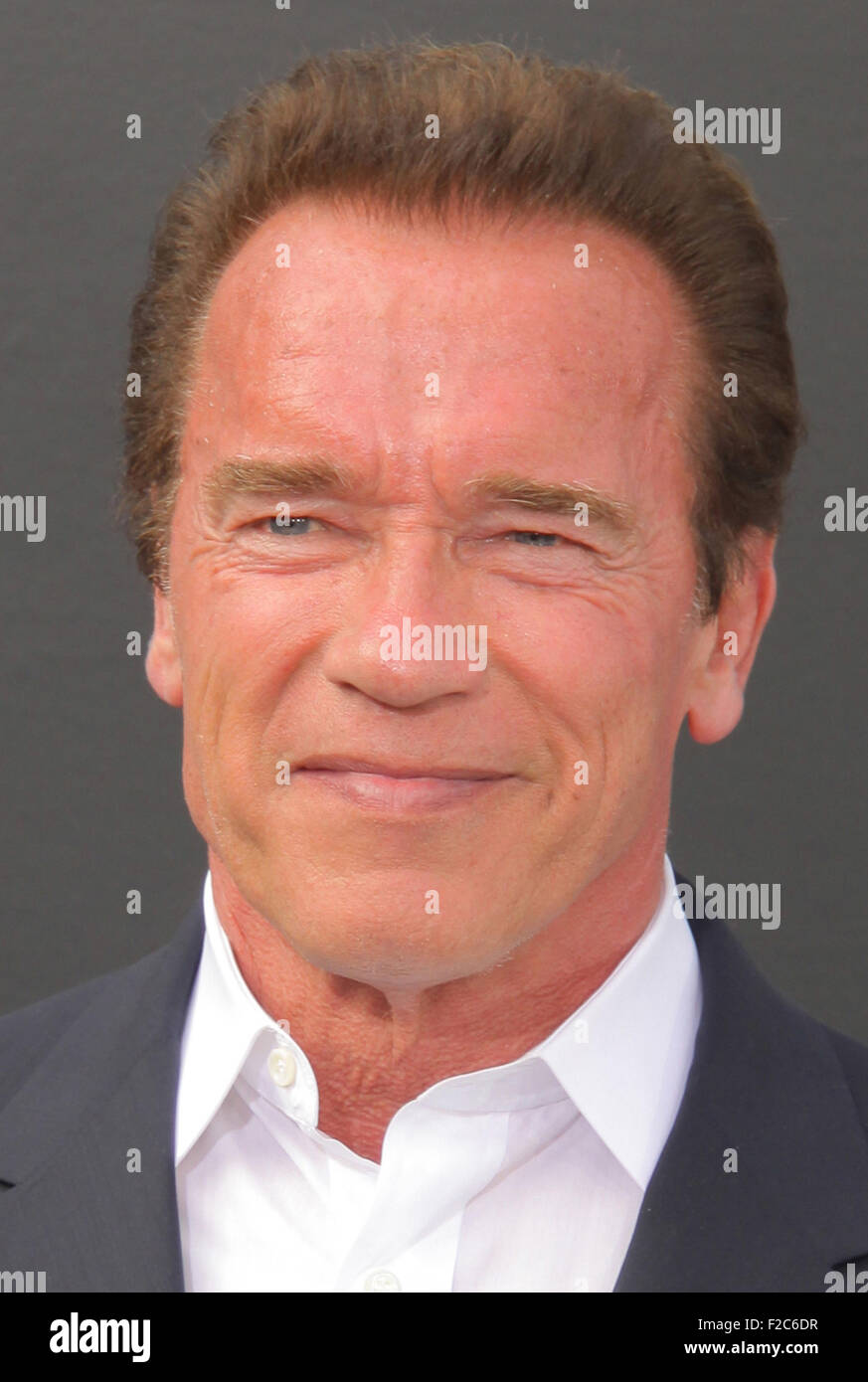 Los Angeles premiere of 'Terminator Genisys' held at Dolby Theatre ...
