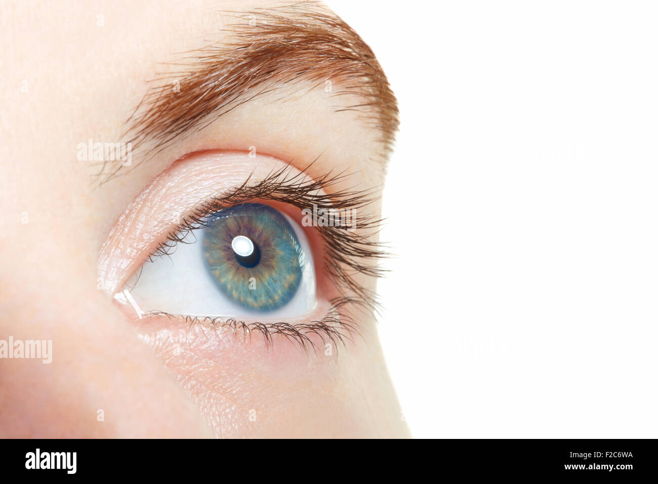 Human, blue healthy eye macro on white background Stock Photo - Alamy