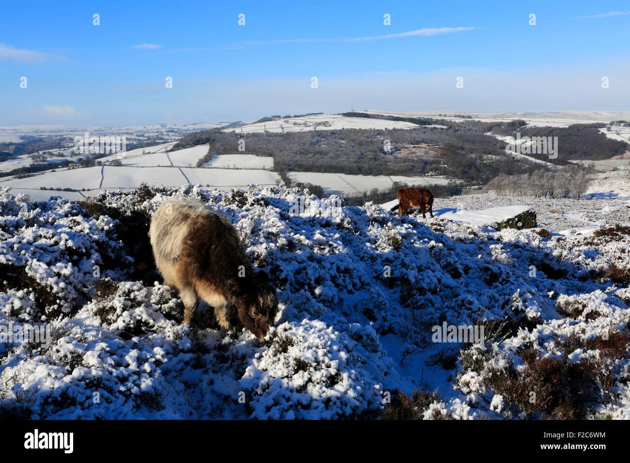January, winter snow view over Froggatt Edge and Big Moor; Derbyshire ...