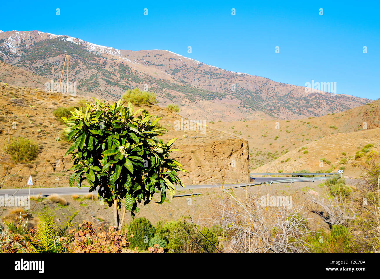 in ground africa morocco the bush dry atlas mountain Stock Photo - Alamy