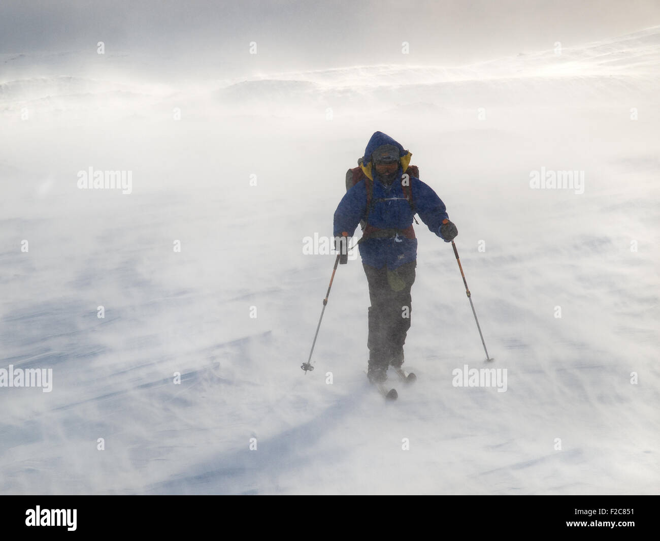 Blizzard snow hi-res stock photography and images - Alamy