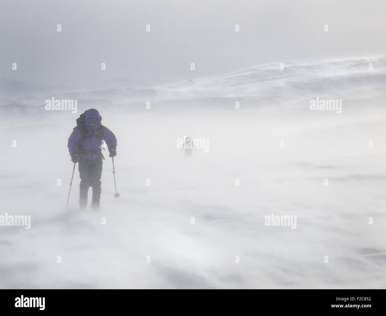Blizzard snow hi-res stock photography and images - Alamy