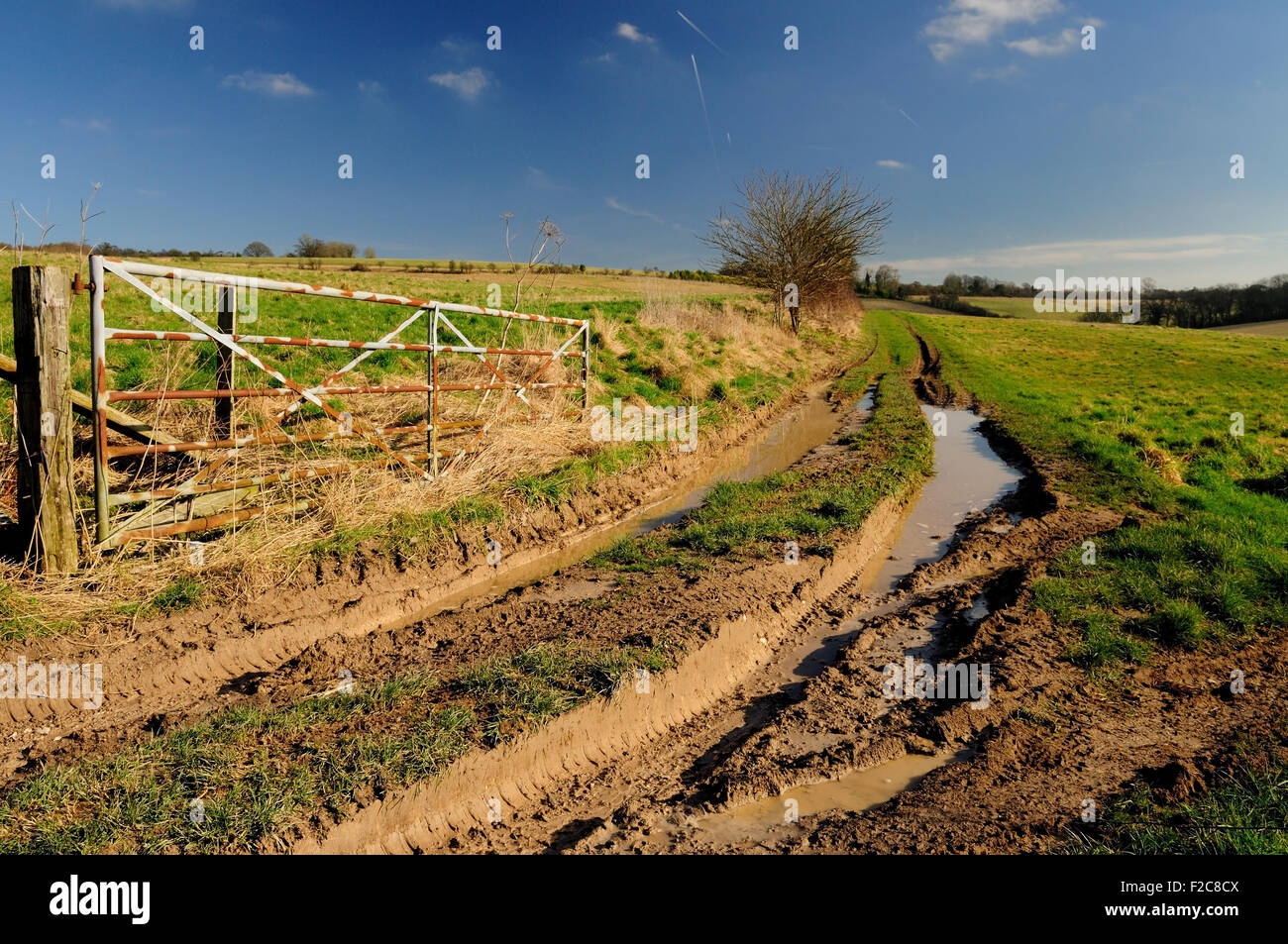 Muddy Farmland High Resolution Stock Photography and Images - Alamy