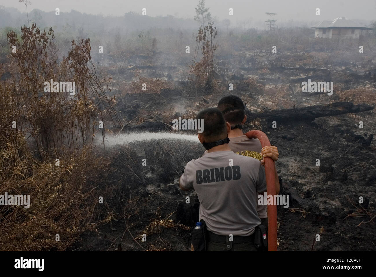 Riau, Indonesia. 16th Sep, 2015. Indonesian police put out the fire ...
