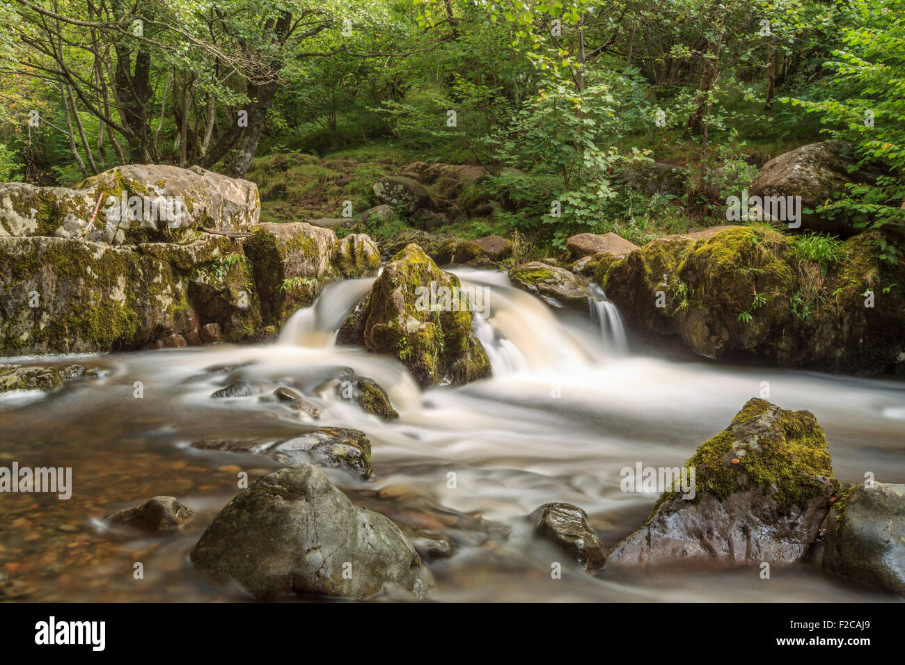 Flow water in stream leaf hi-res stock photography and images - Alamy