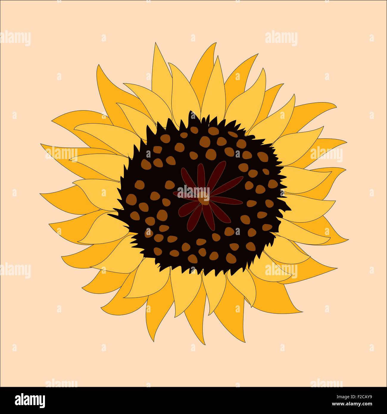 Sunflower icon - Vector Stock Vector Image & Art - Alamy