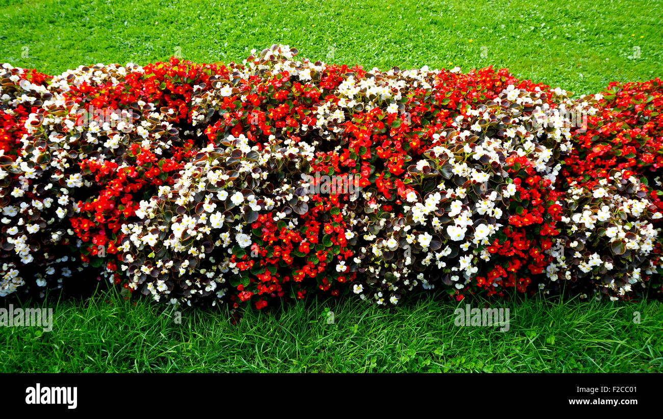 Mirabell garden hi-res stock photography and images - Alamy