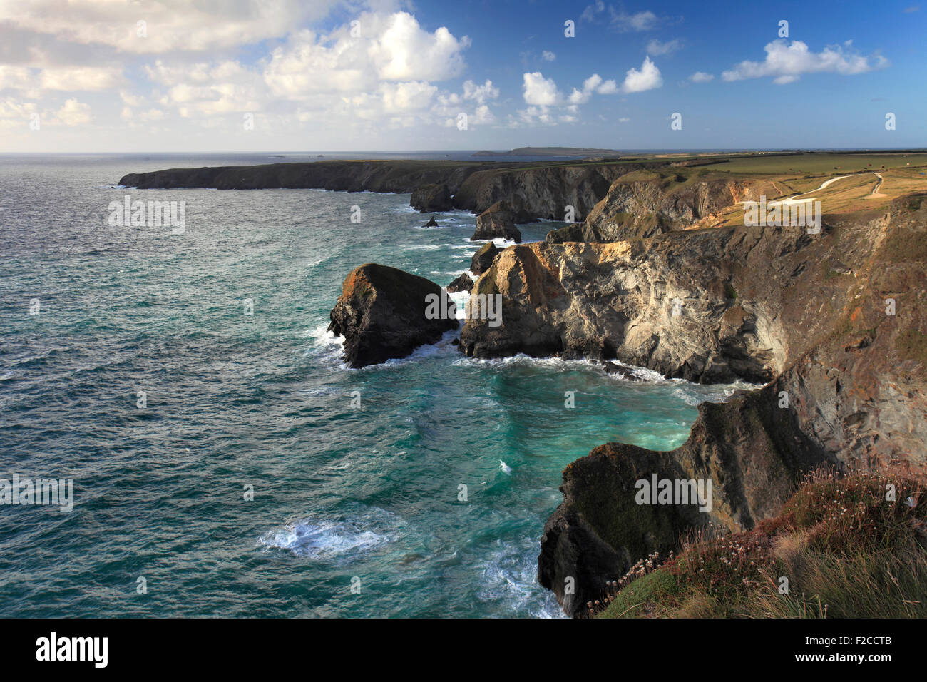 Coastal sea stacks hi-res stock photography and images - Alamy