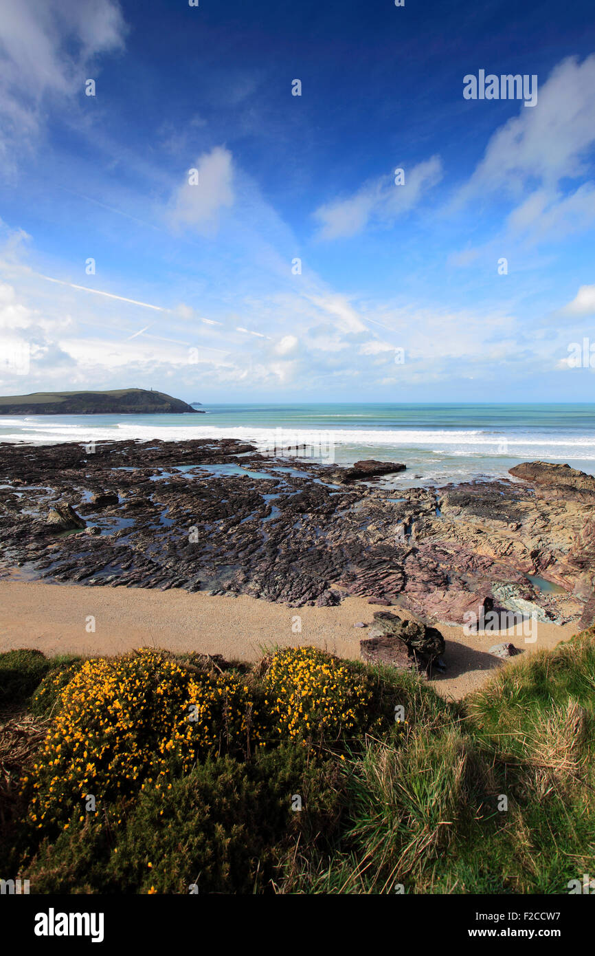 Rugged shoreline, Padstow Bay, Padstow town, Cornwall County, England ...