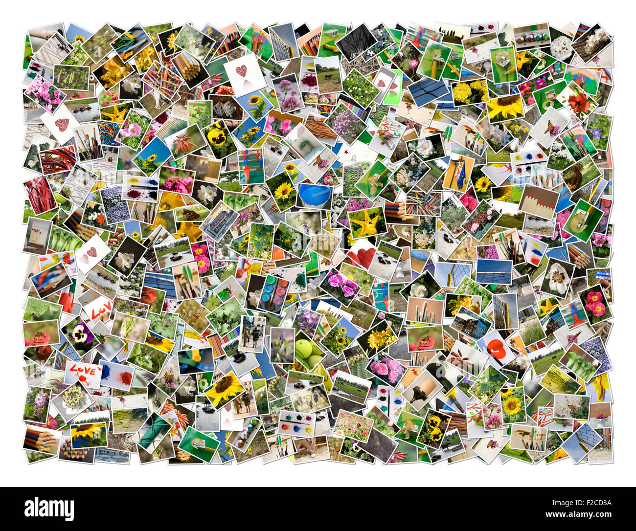 A variety of photography Cut Out Stock Images & Pictures - Alamy