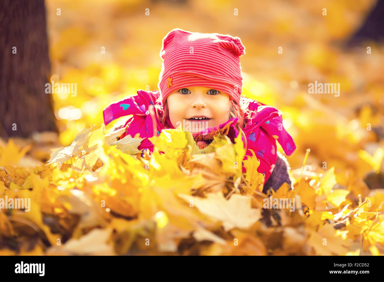 Little girl playing with autumn leaves Stock Photo - Alamy