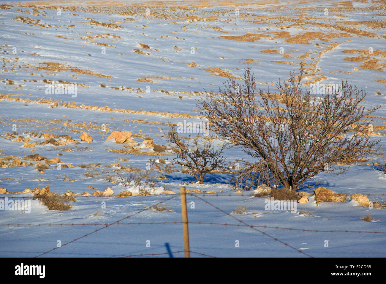 Jordan and kazakhstan hi-res stock photography and images - Alamy