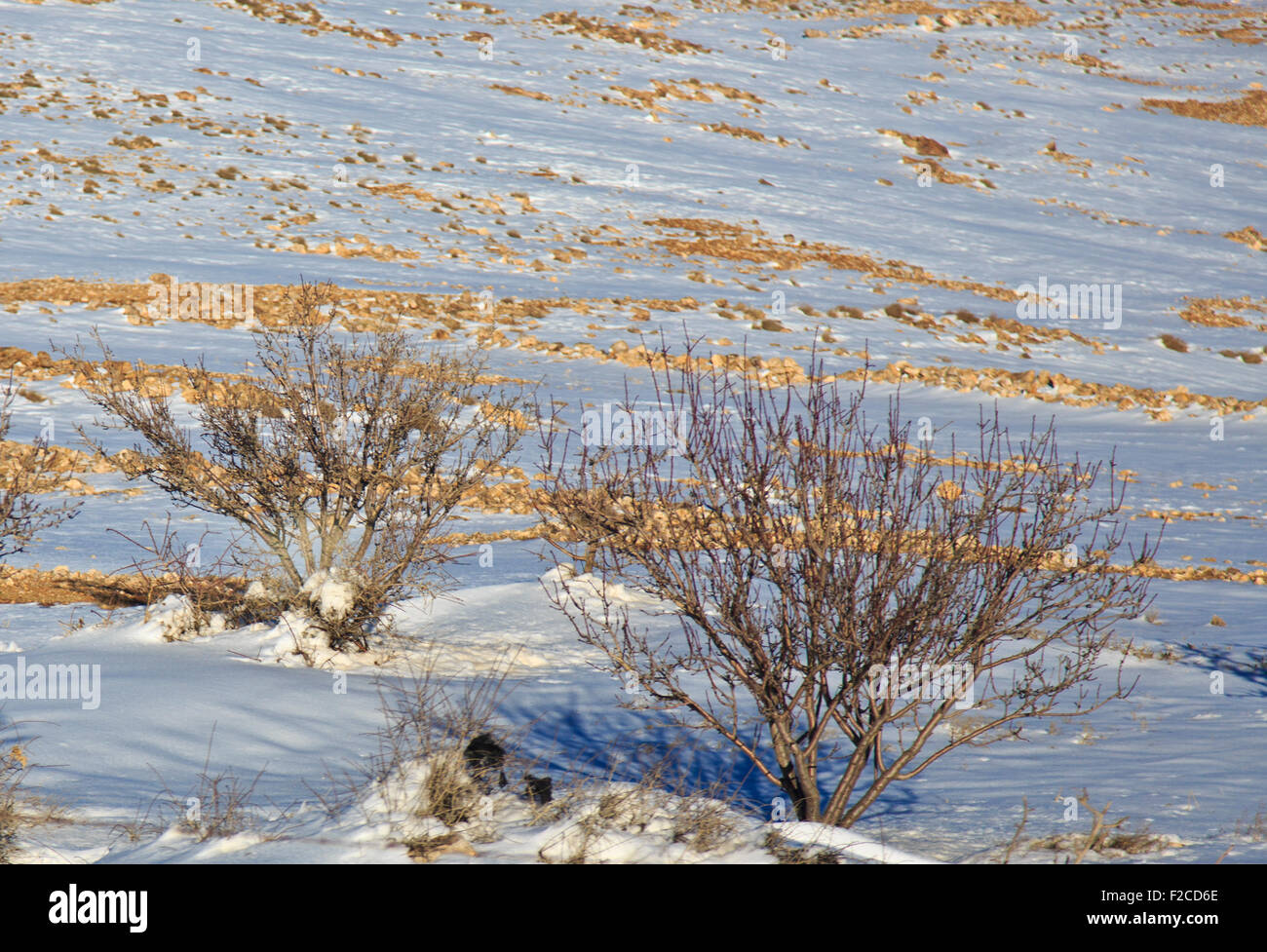 Jordan in snow Stock Photo - Alamy