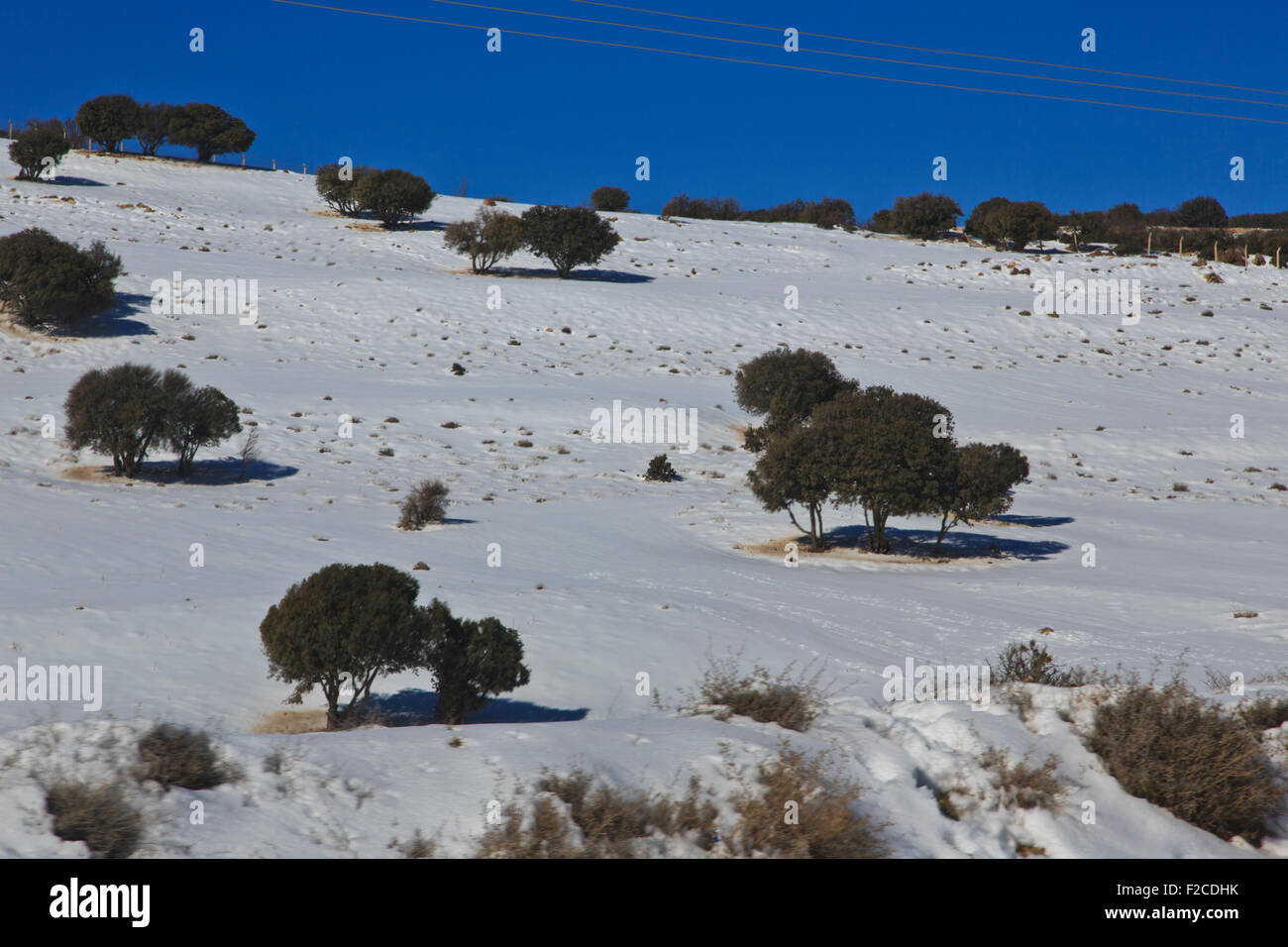 Jordan in snow Stock Photo - Alamy