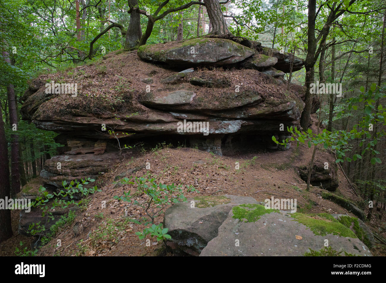 Sandstone rocks on a hiking trail near Schönau Palatinate Germany Stock ...