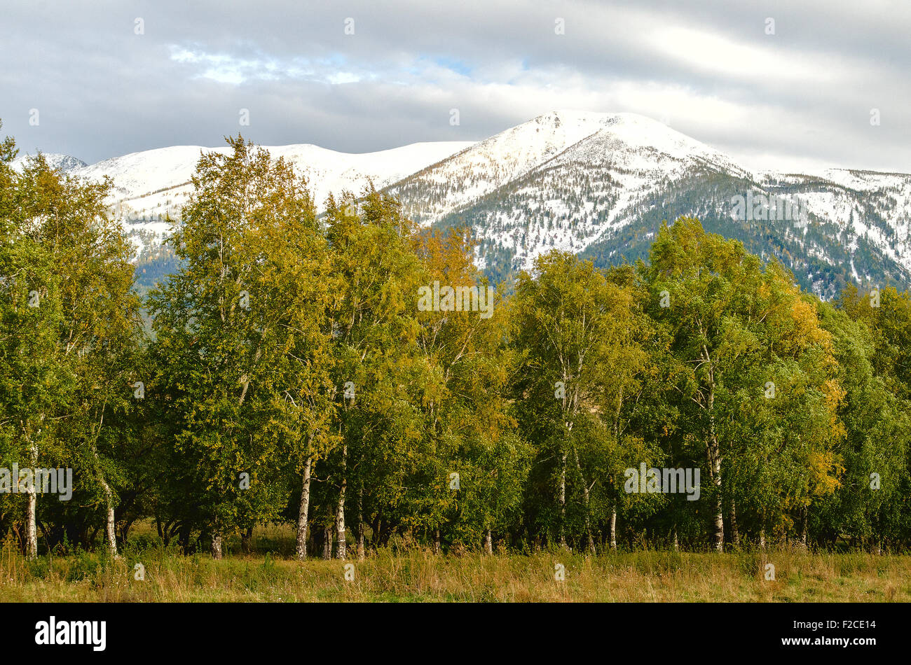 September leaves hi-res stock photography and images - Alamy