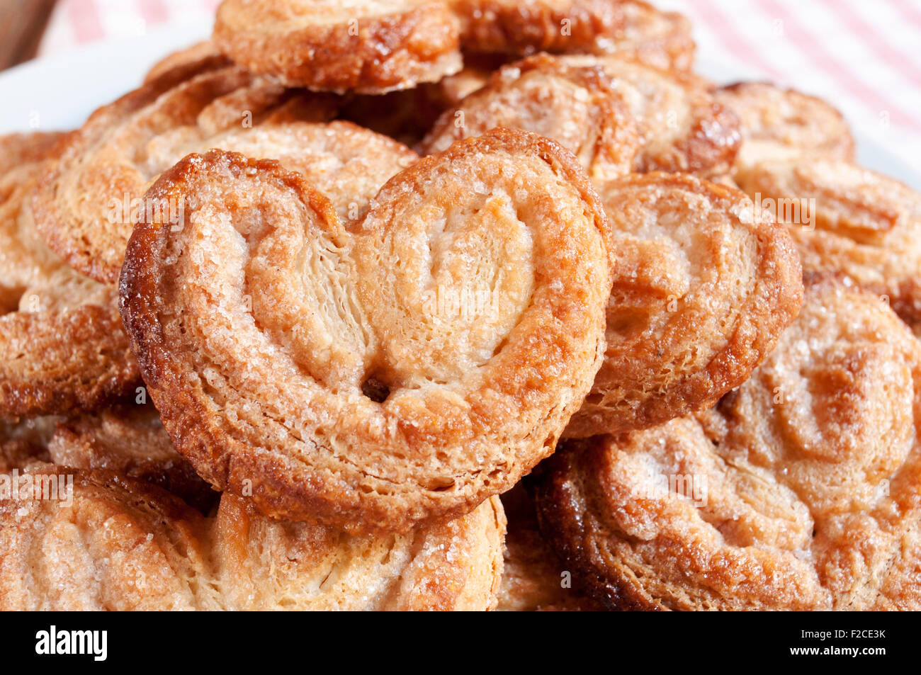 Palmier tree hi-res stock photography and images - Alamy