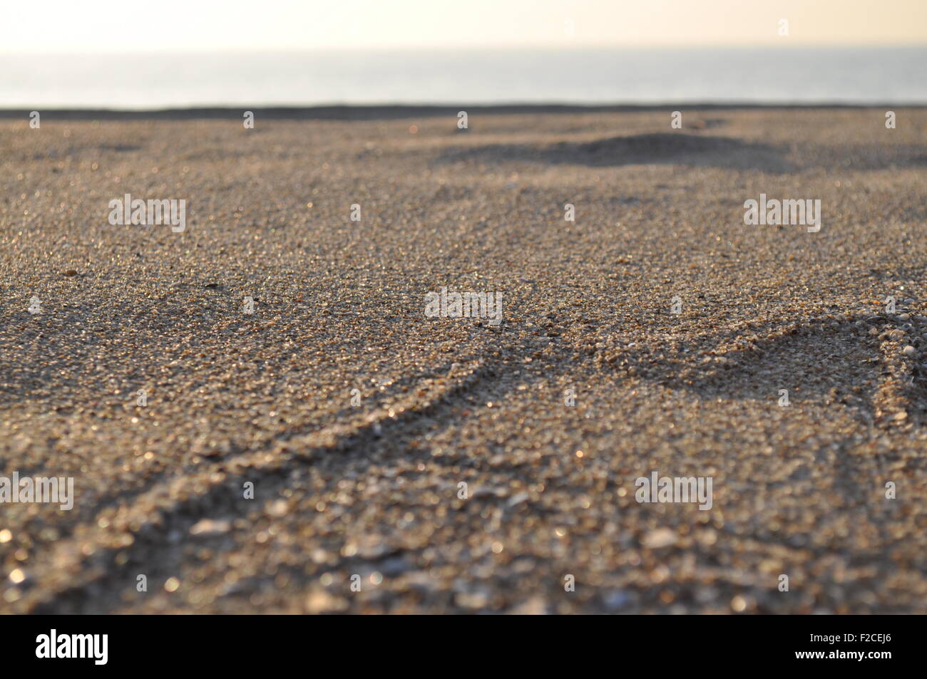 Smooth beach sand hi-res stock photography and images - Alamy